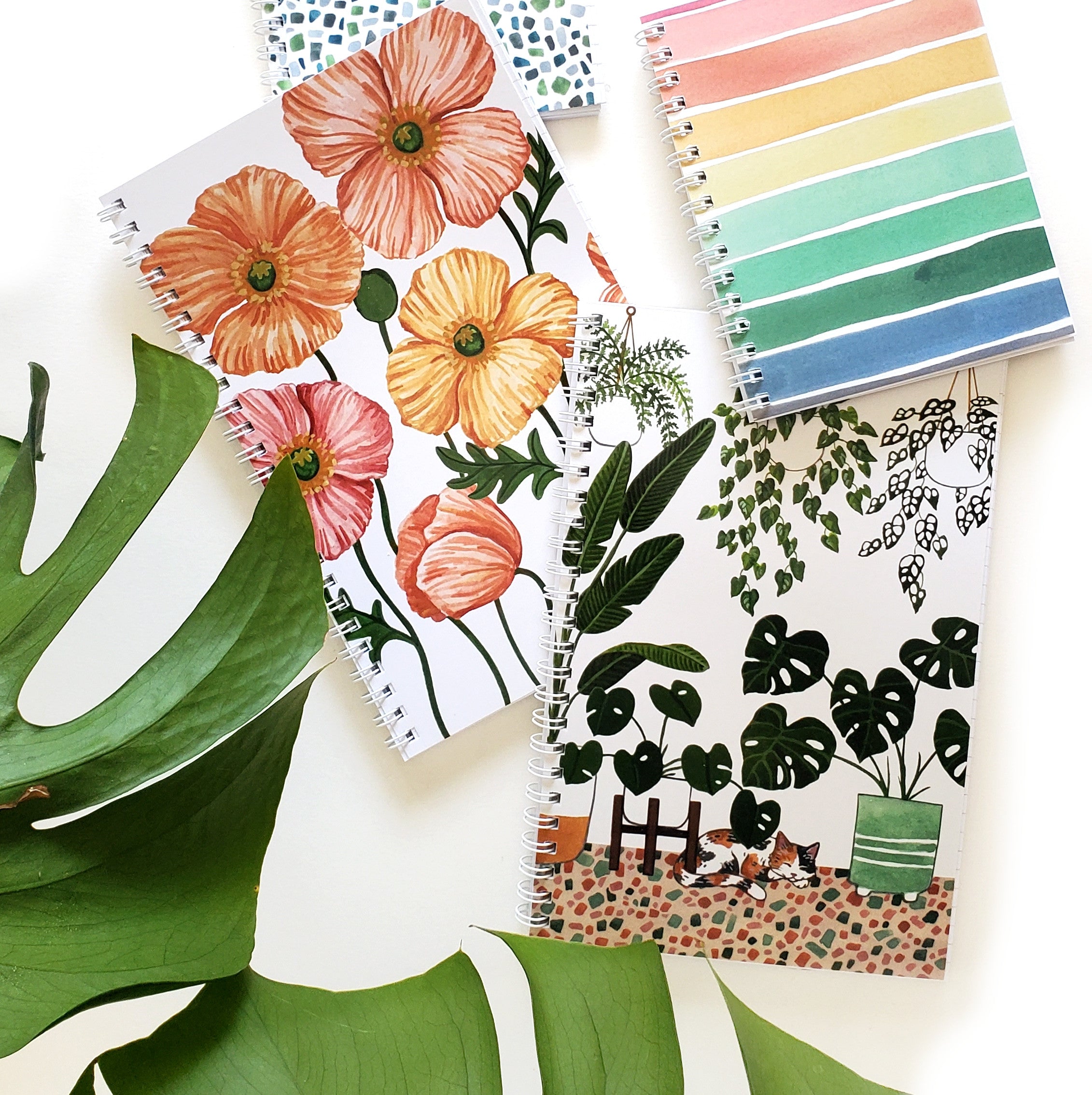 Coil-bound Notebooks with Watercolor Illustrated Covers – Sketchy Notions