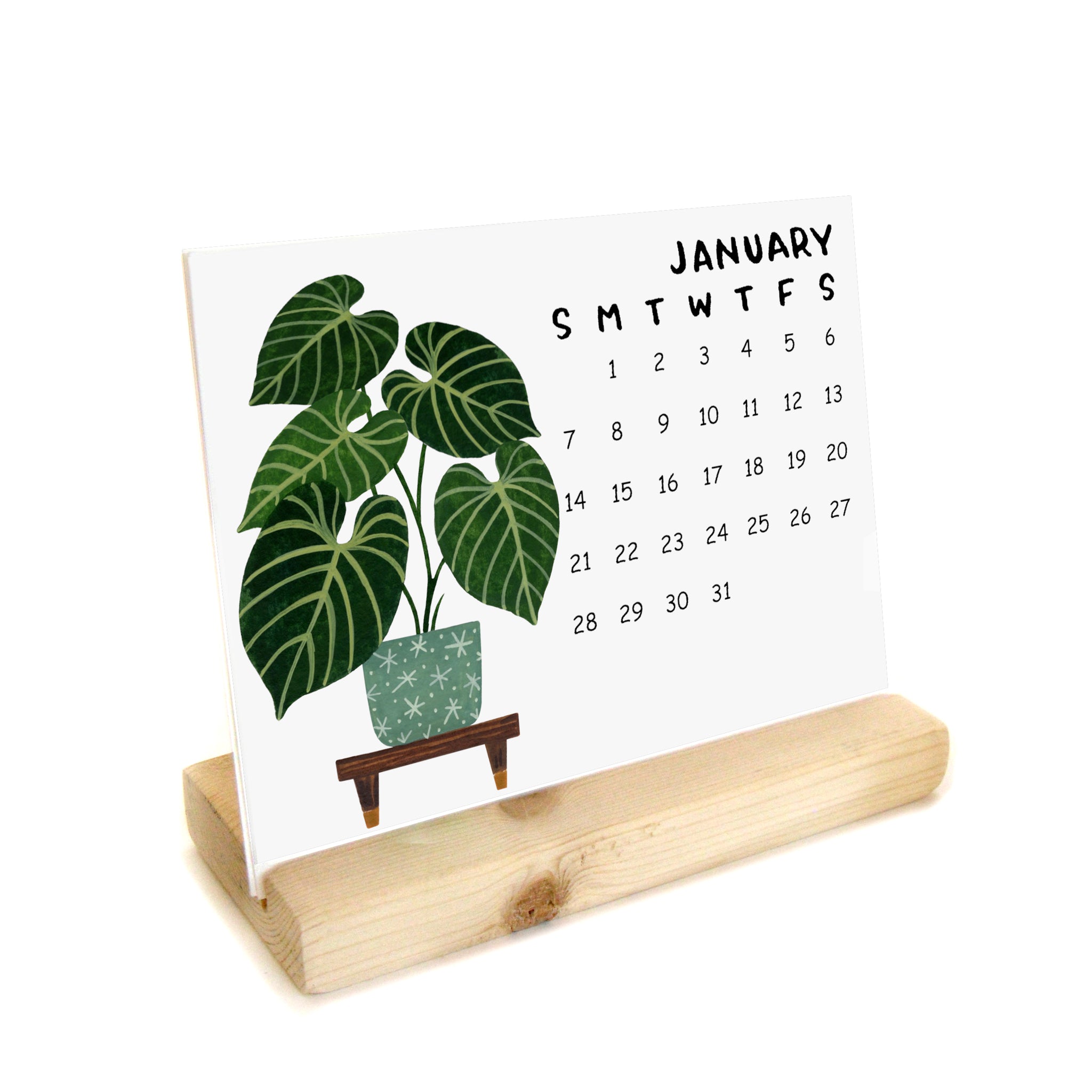2024 Houseplants Watercolor Desk Calendar | Plant Lady Gift – Sketchy ...