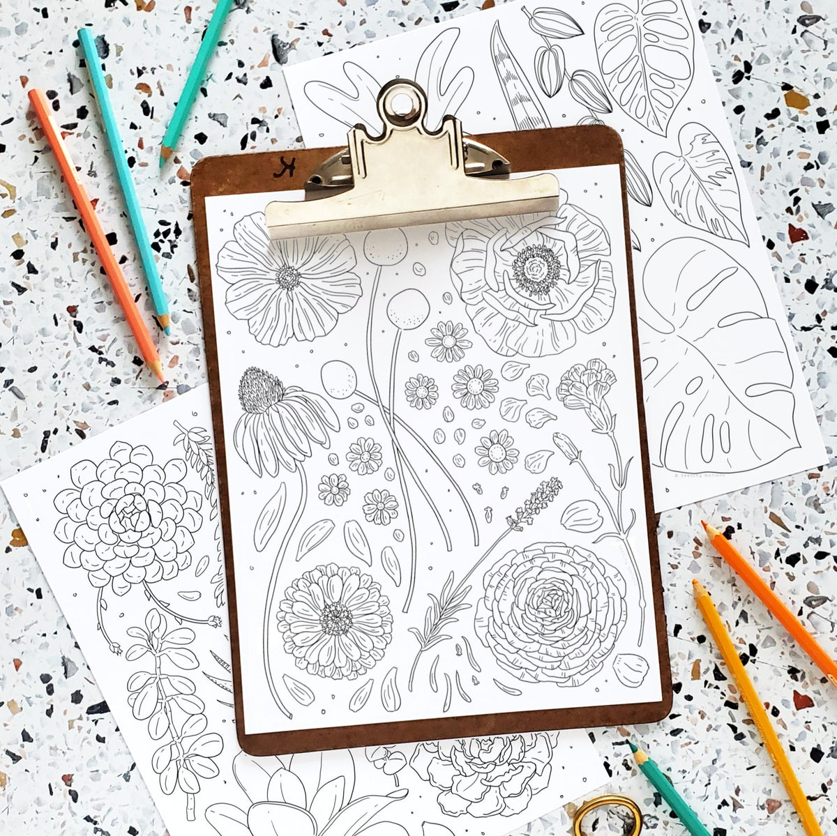 Nature Collections Coloring Pages | Printable Download Flowers Leaves ...
