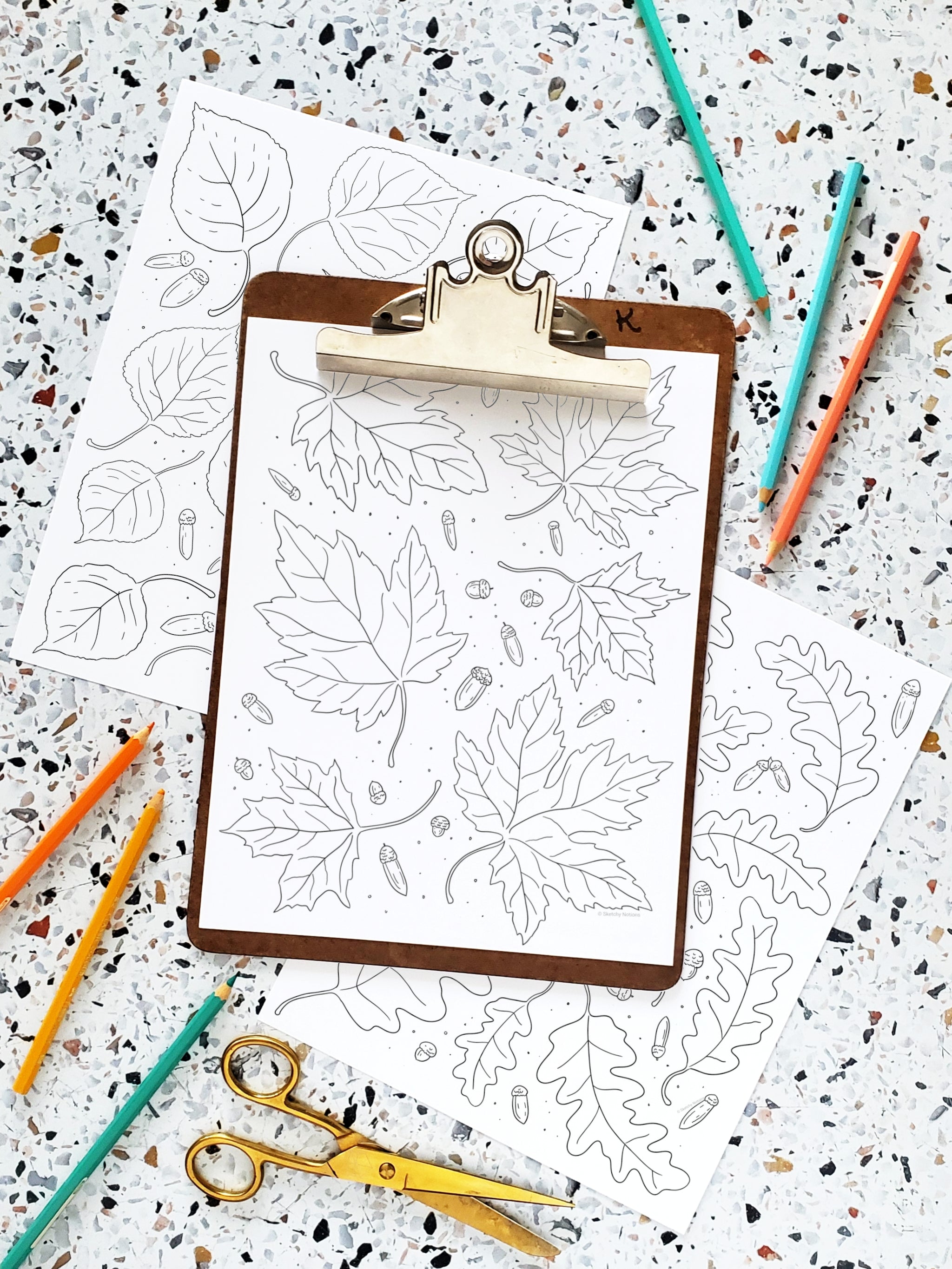Fall Foliage Coloring Pages | Instant Download Autumn Activity ...