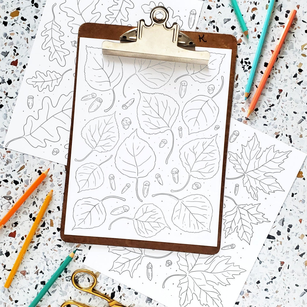 Fall Foliage Coloring Pages | Instant Download Autumn Activity ...