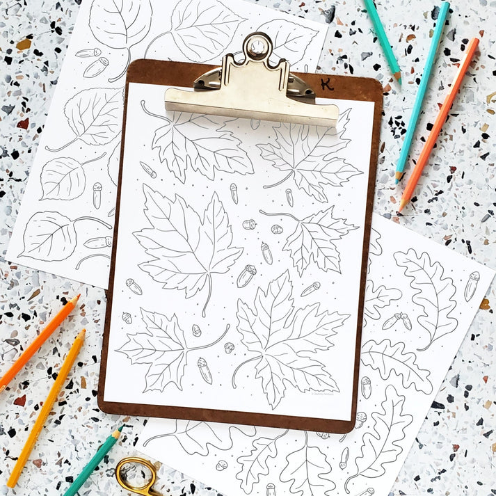 Fall Foliage Coloring Pages | Instant Download Autumn Activity ...