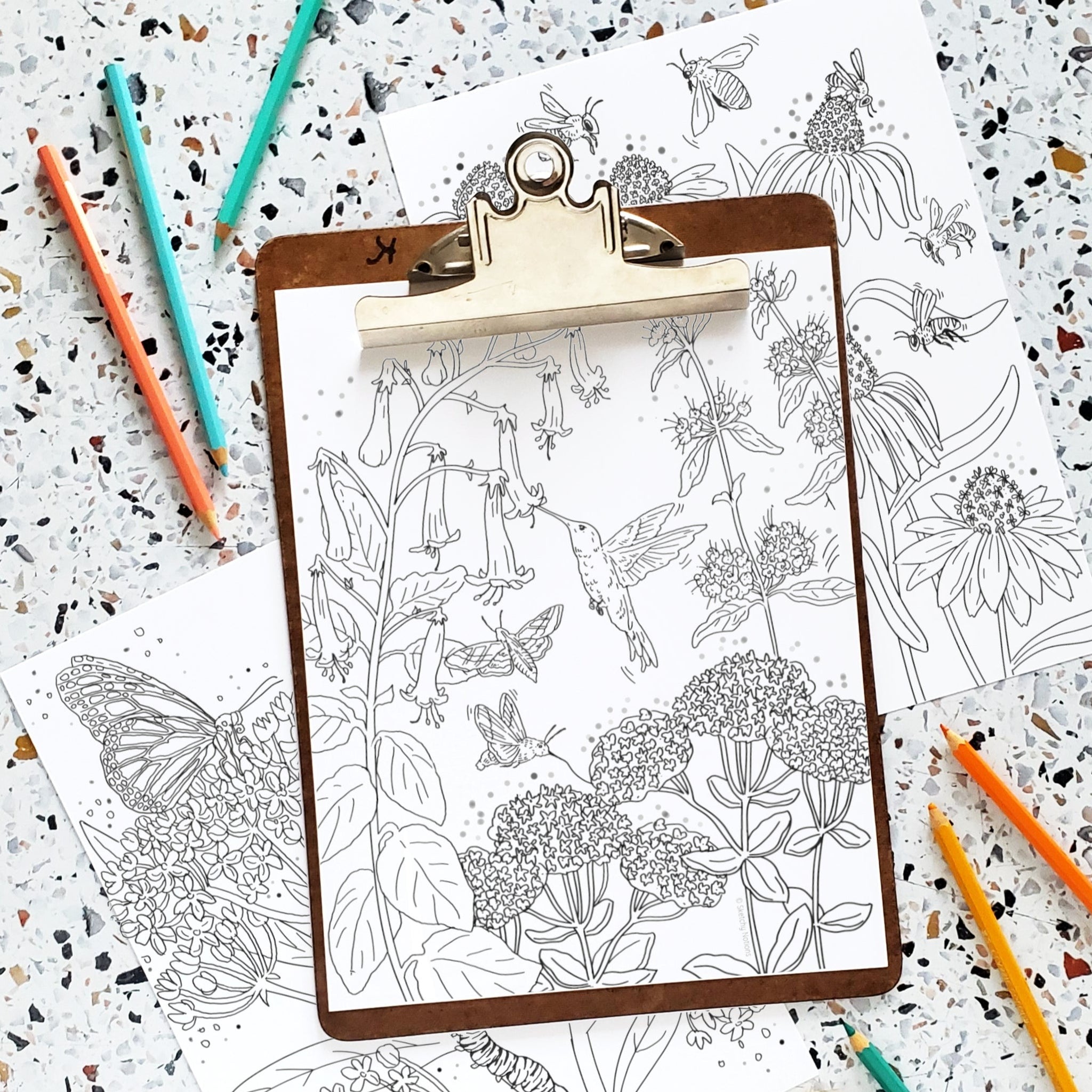 Pollinator Plants + Critters Coloring Page Printable Download – Sketchy ...