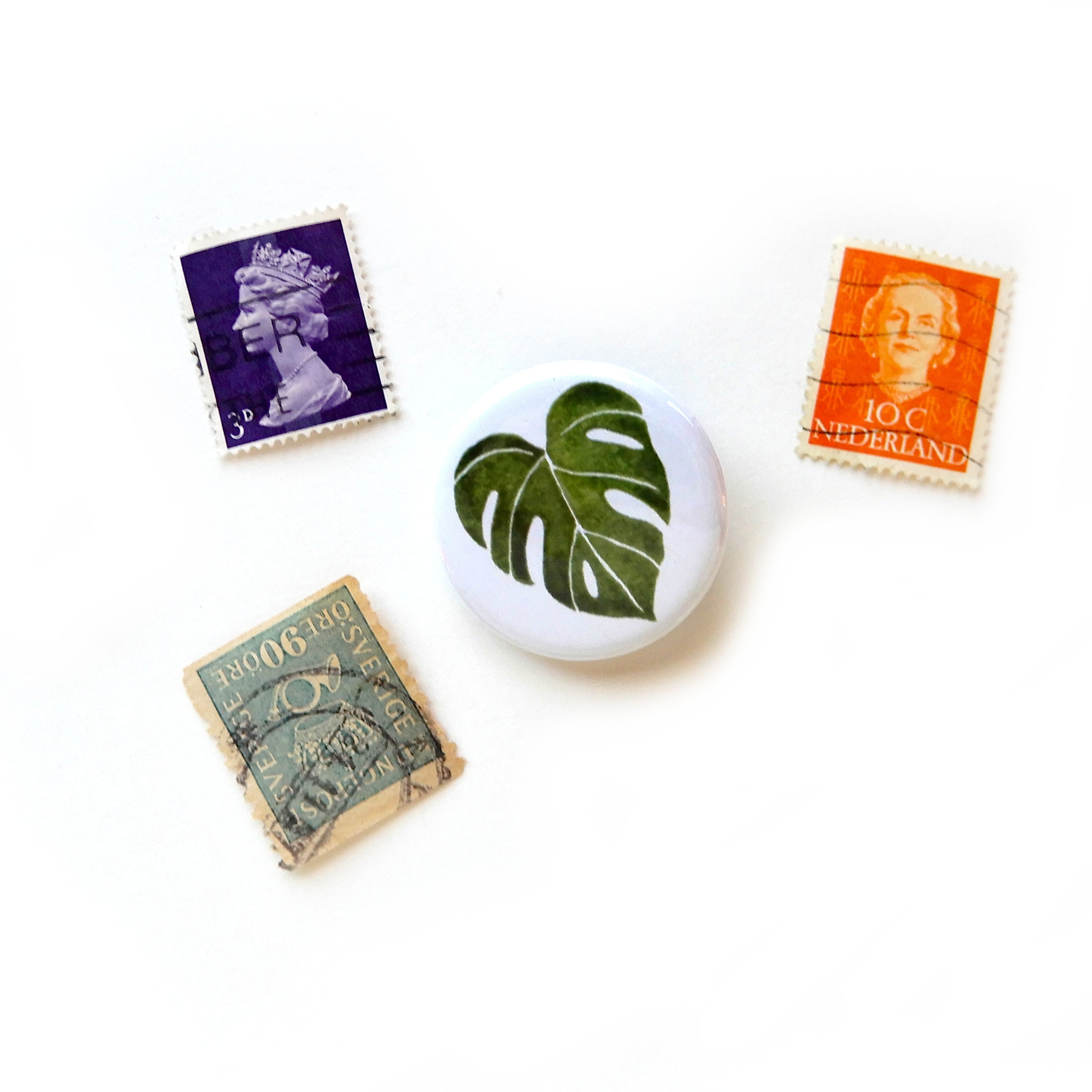 Monstera Watercolor Pin – Sketchy Notions