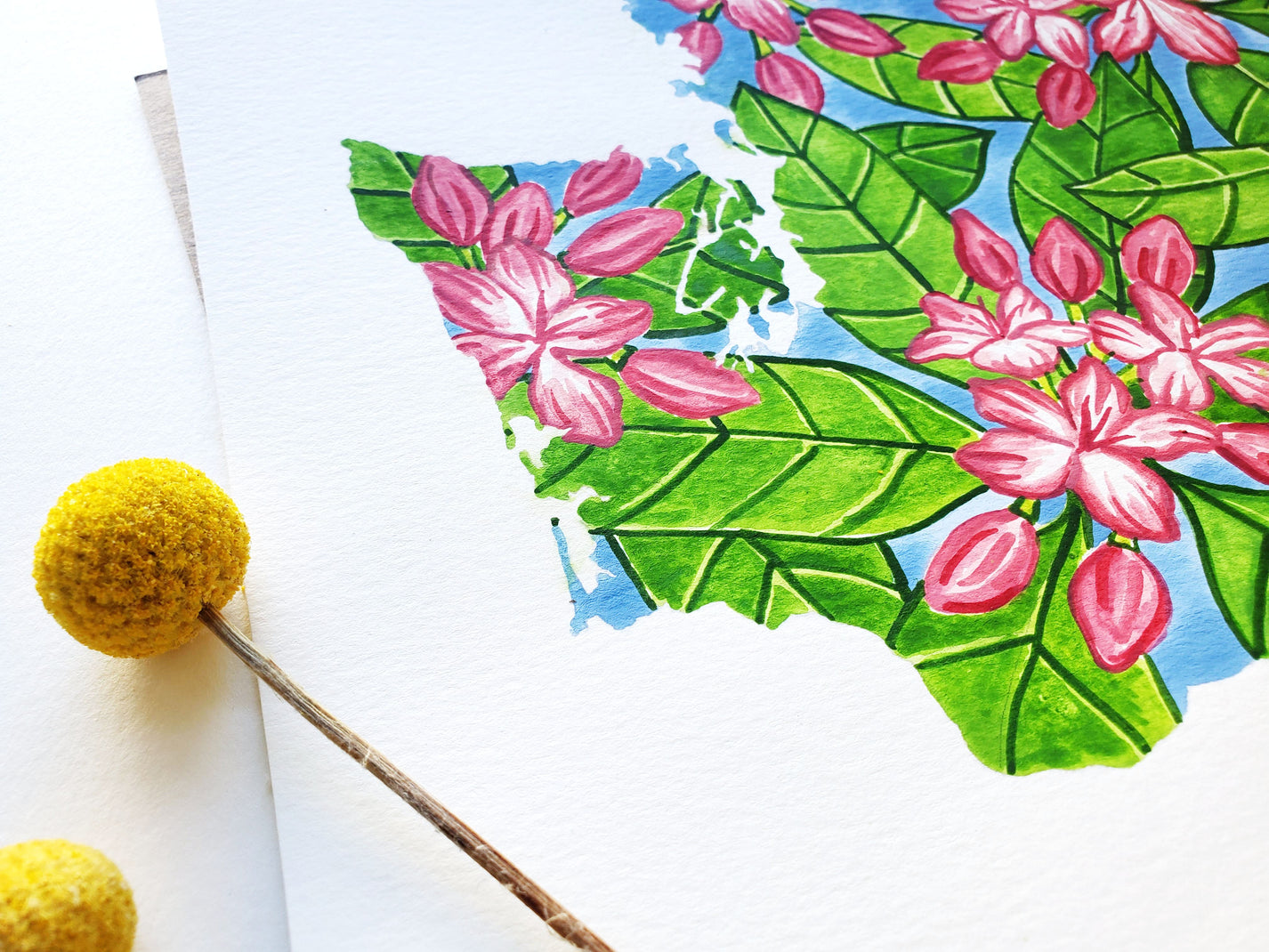 Washington State Flower Original Watercolor – Sketchy Notions
