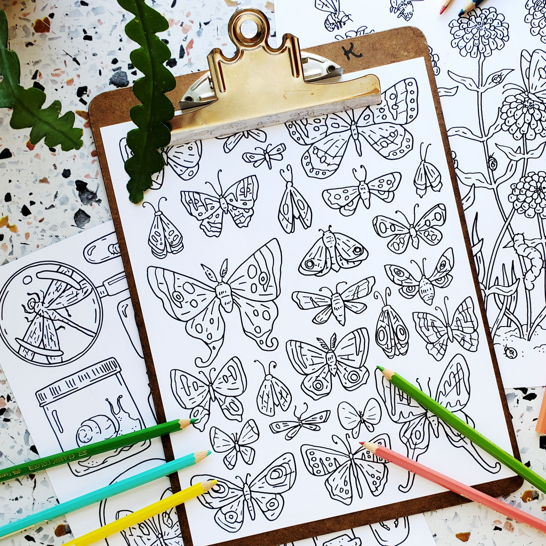 Butterflies + Insects Coloring Page Downloads | Printable Bugs Science ...