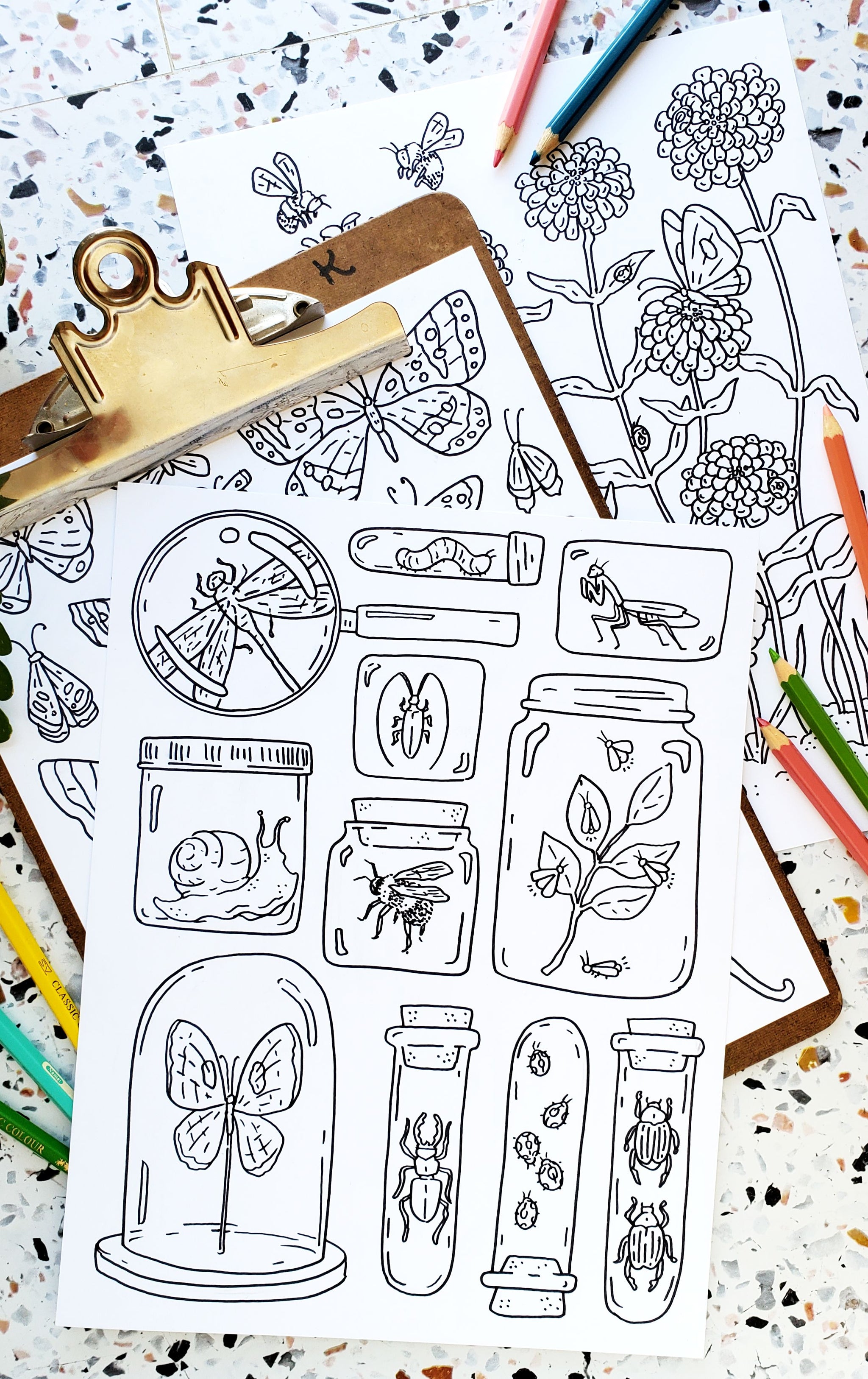 Butterflies + Insects Coloring Page Downloads | Printable Bugs Science ...