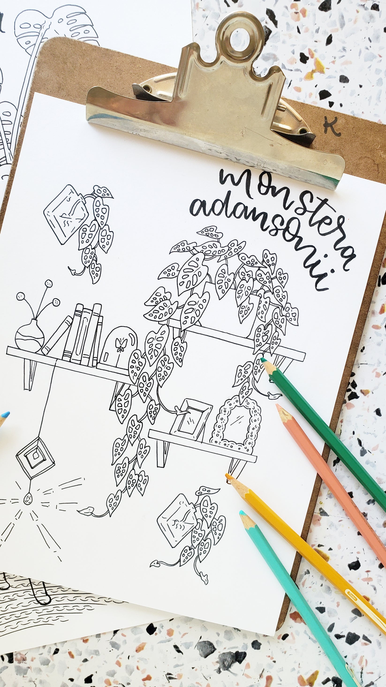 Monstera Coloring Pages – Sketchy Notions