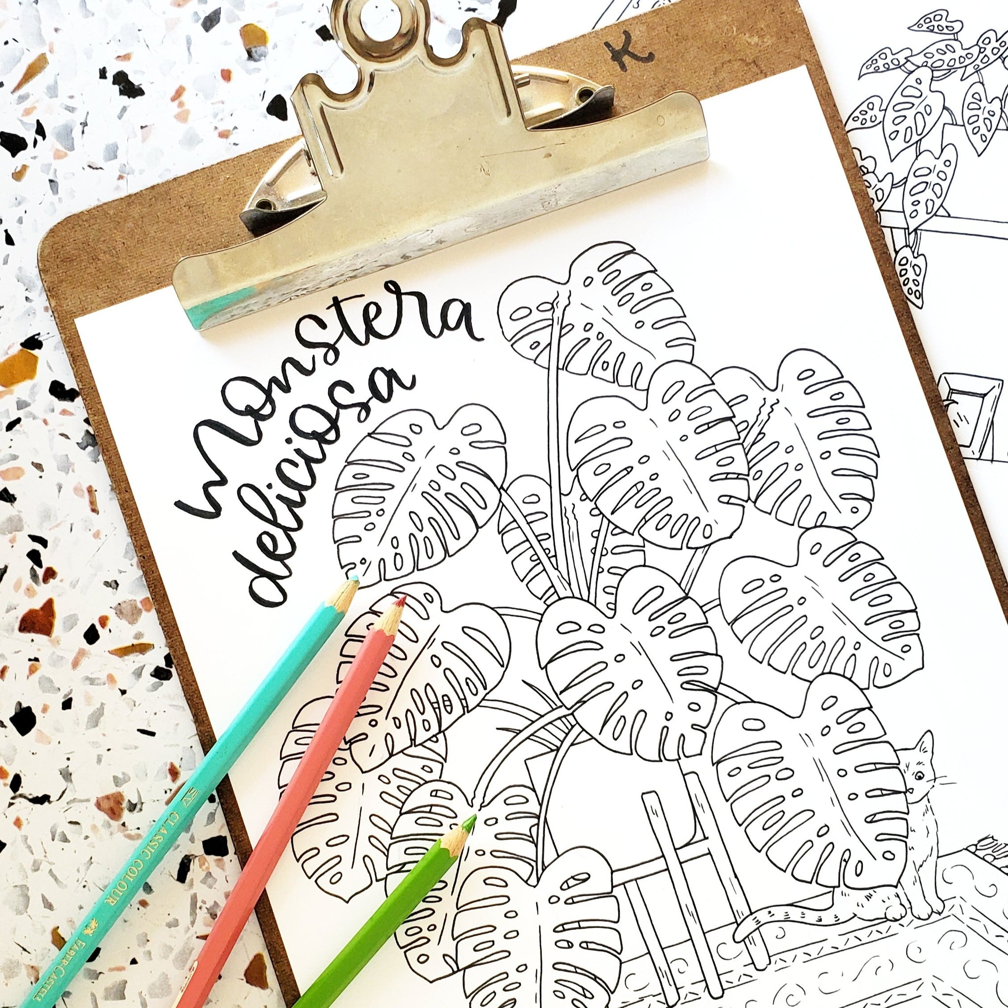 Monstera Coloring Pages – Sketchy Notions