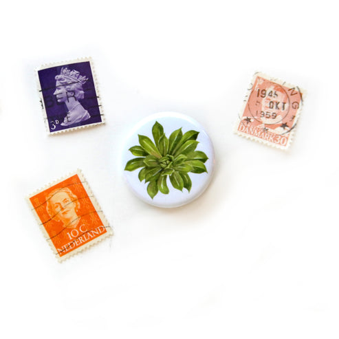 Succulent Watercolor Pin – Sketchy Notions