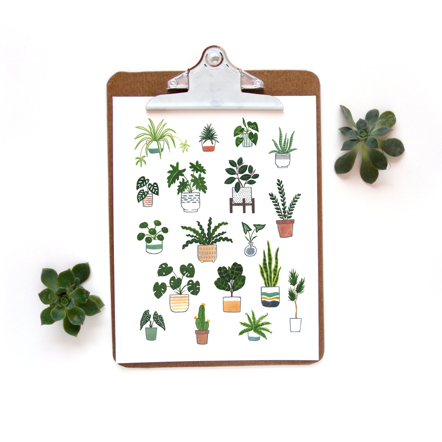 Plant Collage 1 Watercolor Print – Sketchy Notions